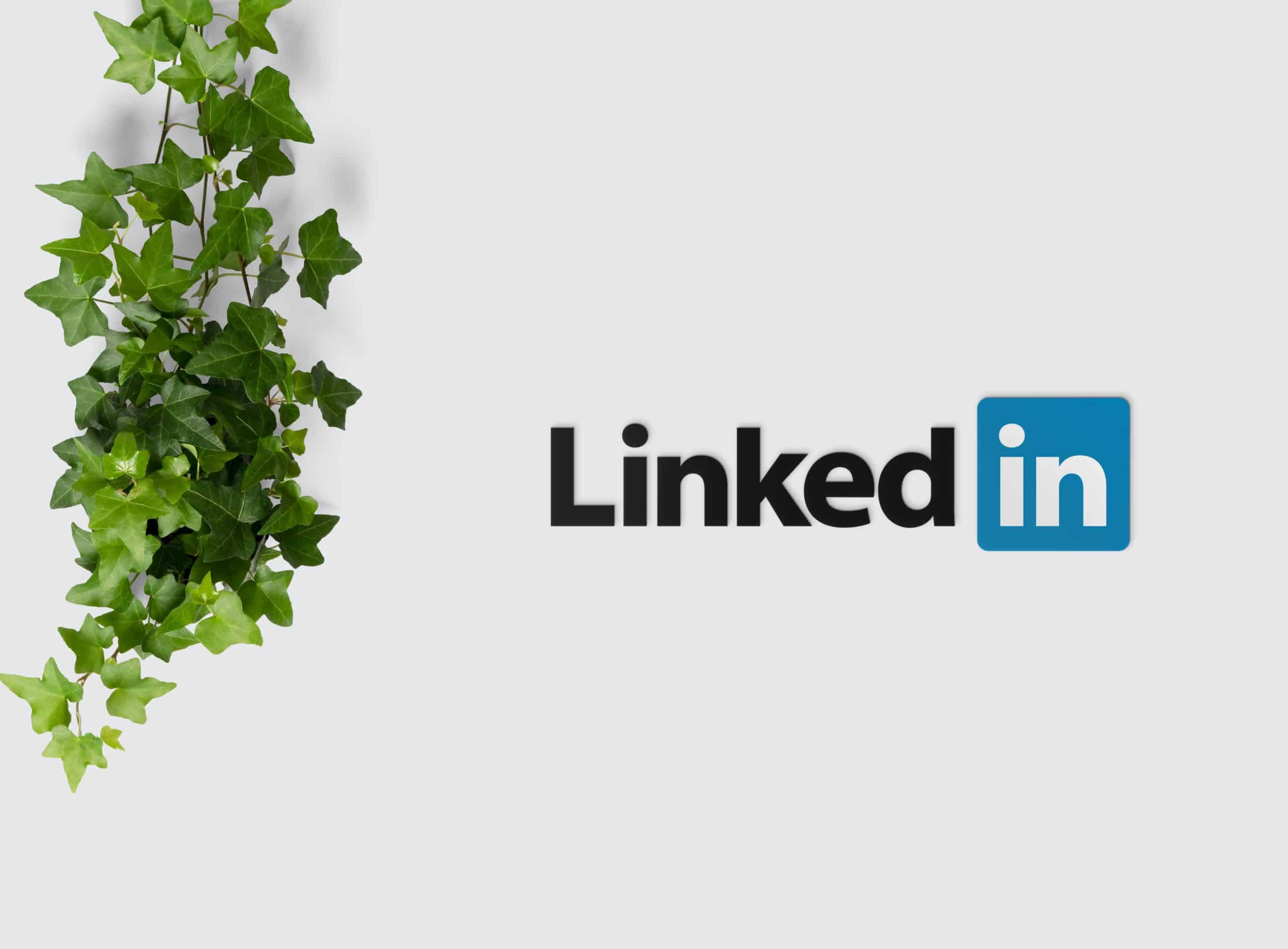 How to Use LinkedIn in College - Campus Commandos